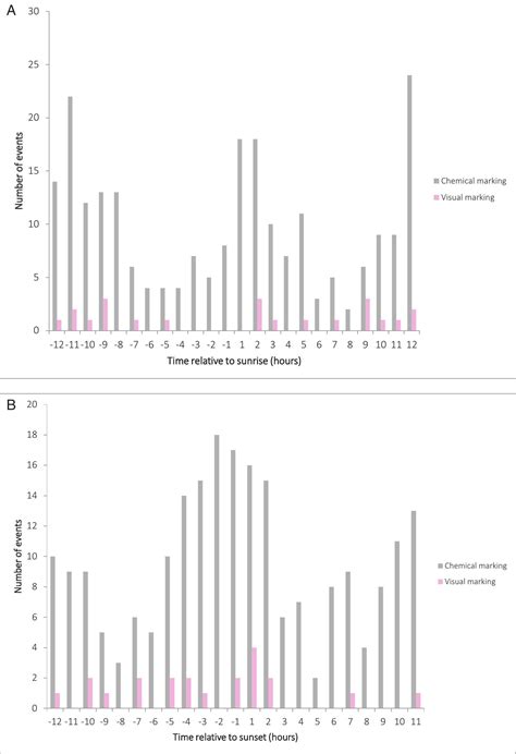 Sex Age And Time Specific Visual Communication In Brown Bears