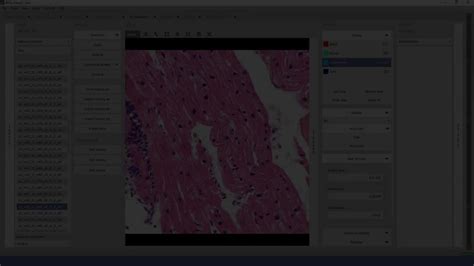 Single Cell Technologies Sct On Linkedin Microscopy Realtimedata