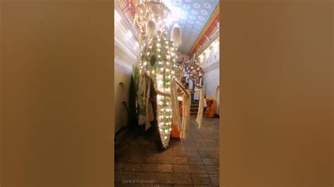 1st Kumbal Perahara Kandyesalaperahera2023 Esalaperaharasridaladamaligawa Kandy Srilanka