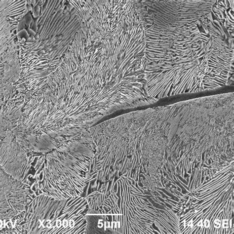 Example Of The Image Of A Steel Microstructure From The Database Download Scientific Diagram
