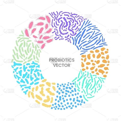 益生菌生物学微生物学明串珠菌属肠道乳杆菌双歧杆菌属植物绘画插图圆形