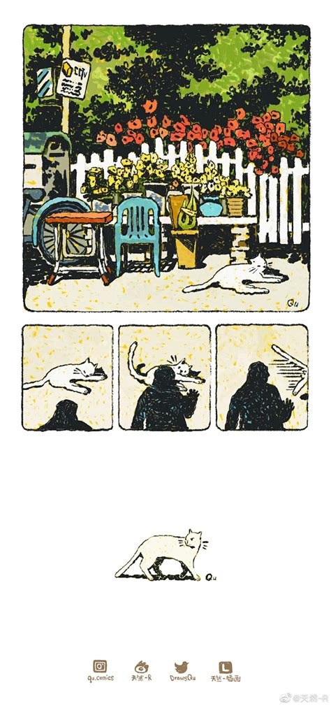 天然 R的照片 微相册 花瓣网