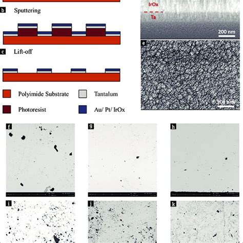 A C Schematic Of The Electrode Preparation Process Scanning Electron