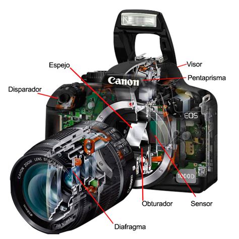 Cómo Funciona Una Cámara De Fotos Guía Completa Rbwppq