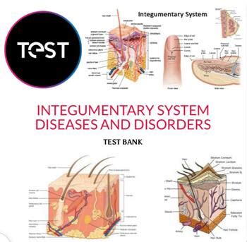 Integumentary System Diseases And Disorders Test Bank By Irina Djavakyants