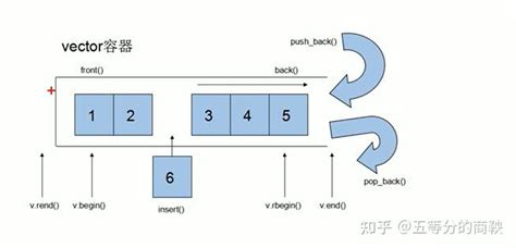 C学习笔记 Vector容器 构造函数 知乎