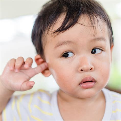 The Benefits Of Mullein Try Blue