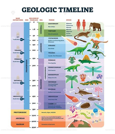 Geologic Timeline Scale Vector Illustration Labeled Earth History Scheme With Epoch Era