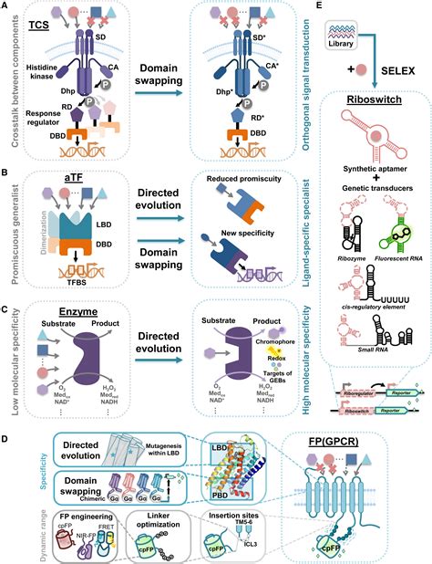 Advances In Ligand Specific Biosensing For Structurally Similar