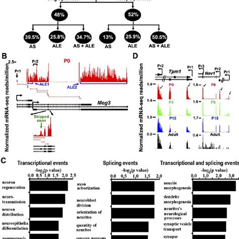 A Sex Specific Alternative Splicing Module For Insect Synthetic Download Scientific Diagram