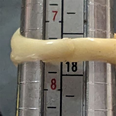 Vtg 1930s Celluloid Molded Cream Colored Floral Ring Possibly Japan