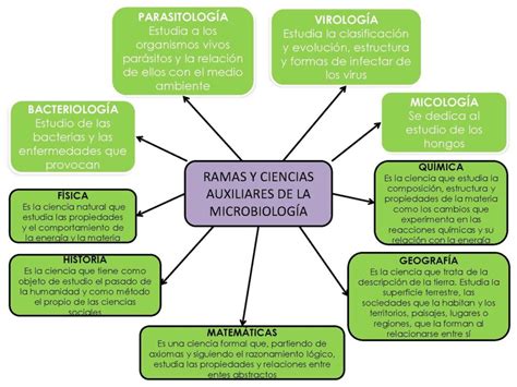 Descubre Las Ciencias Naturales Biología Física Química Y Más
