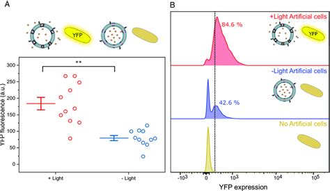 Activation Of Bacterial Cells Using Light Responsive Artificial