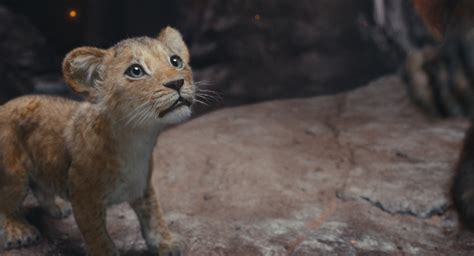 Lion King Kiara Just Got Done Watching Mufasathelionking And