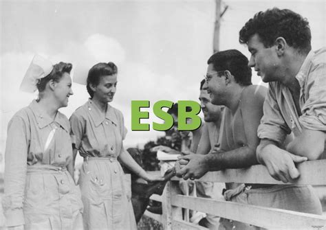 ESB Meaning Slang Org