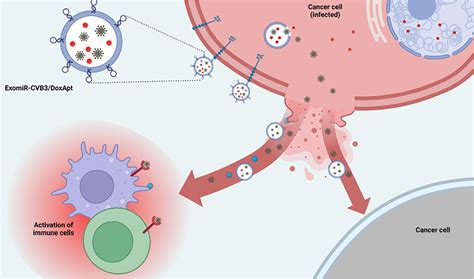 Synergistic Viro Chemoimmunotherapy In Breast Cancer Enabled By Bioengineered Immunostimulatory