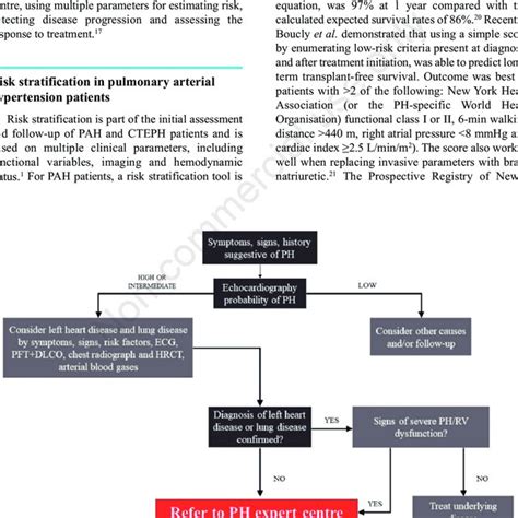 Diagnostic Algorithm According To The Current Pulmonary Hypertension