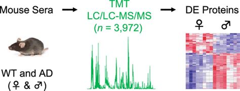Identifying Sex Specific Serum Patterns Of Alzheimers Mice Through Deep TMT Profiling And A