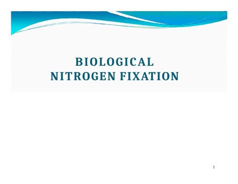Symbiotic And Non Symbiotic Nitrogen Fixationpptx