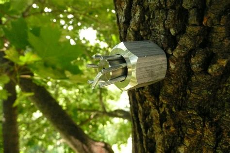 Certified Arborists Columbia Rensselaer Counties New Leaf Tree Services IncTree Cabling
