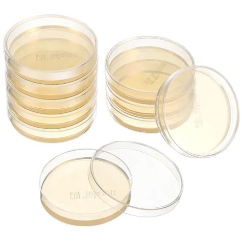 10 X Pre Poured Nutrient Agar Plates 90mm Petri Dishes For