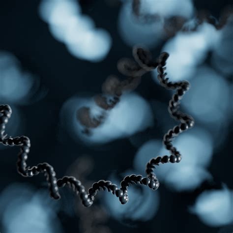 Positional Mapping Of Active Versus Silenced Rrna Gene Clusters Within A Thaliana Nucleolus