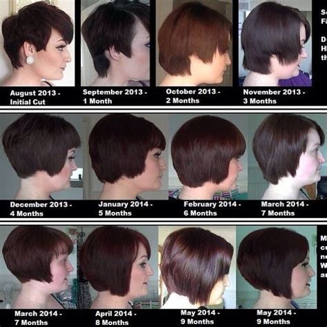Growing Out A Pixie Timeline Waypointhairstyles Growing Out A Pixie Timeline Waypointhairstyles
