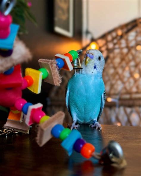 Serina Caballero On Linkedin Capm Ai