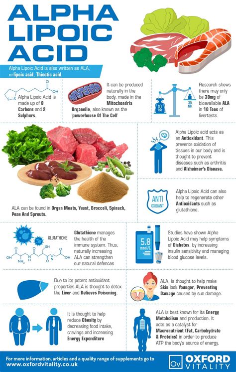 Alpha Lipoic Acid Uses And Benefits At Joan Byrd Blog