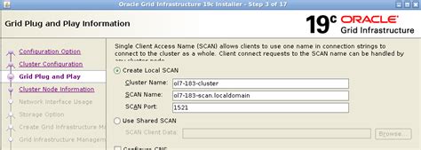 Creating Rac Database On Acfs Using Oracle Gi 19c Setup On Oel 78 Dev