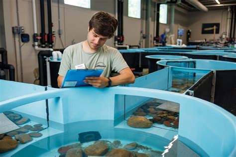 Endangered Minnow Rallies Conservationists In Race To Save Laurel Dace