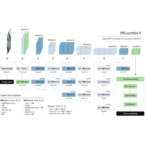 The Final Version Of The Efficientnet P Model The Custom Module