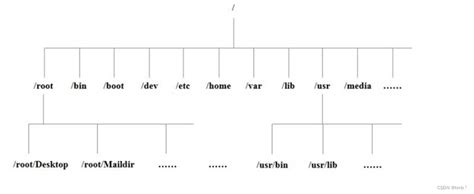 Linux目录介绍 Csdn博客