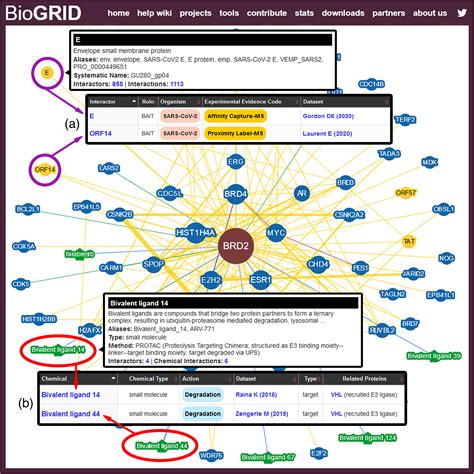 The Biogrid Database A Comprehensive Biomedical Resource Of Curated