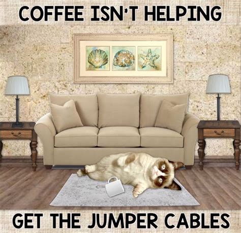 Grumpy Cat Coffee ☕️ When Coffee Isnt Enough Get The Jumper Cables