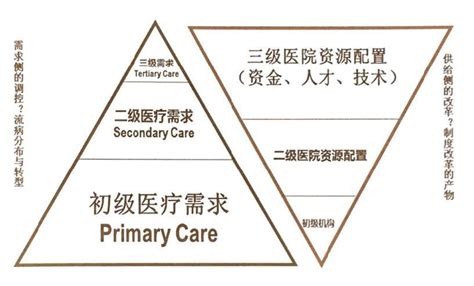刘国恩为何分级诊疗改革是中国医改的重中之重？健康央视网