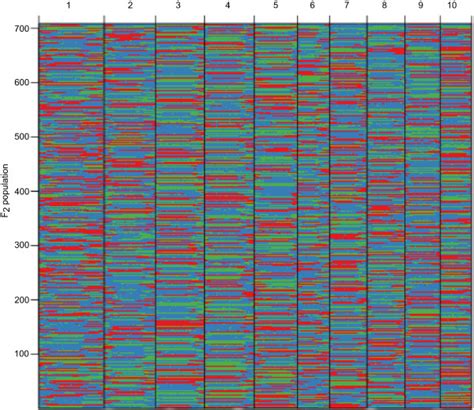Recombination Bin Map Of F 2 Population Bin Map Consists Of 6674 Bin