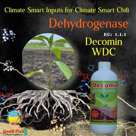 How To Measure Soil Microbial Activity Jeypee Farm Posted On The