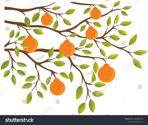 Brach Tree Over 646 Royalty Free Licensable Stock Vectors And Vector Art