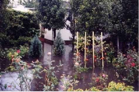 Fotogalerie Gartenverein Leipzig West E V