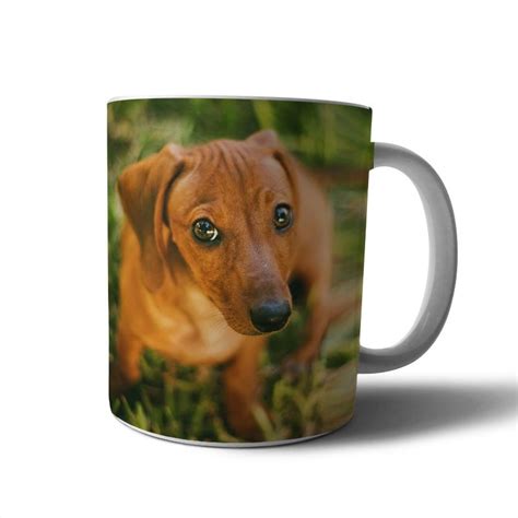 Cana Din Ceramica Mobiltokguru Model Catel Teckel 1 300ml Multicolor Emag Ro