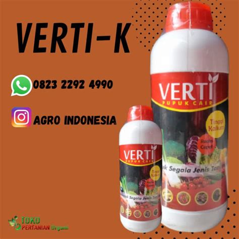 Tips Menanam Seledri Dan Cara Merawatnya