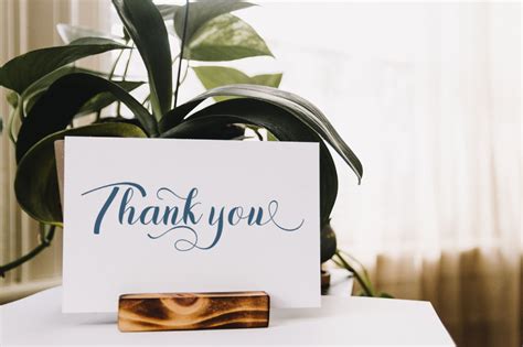 olivia script font · 1001 fonts