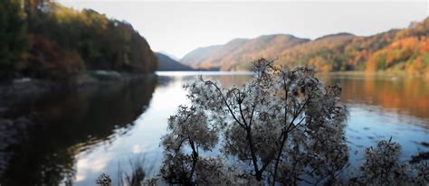 Sex And Alder Sexolog Birgit HØjlund Sexolog Birgit Højlund
