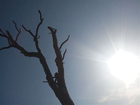 Consuelo Macabebe Pampanga