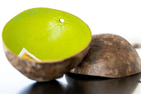 Calebasse Verte Urban Malala