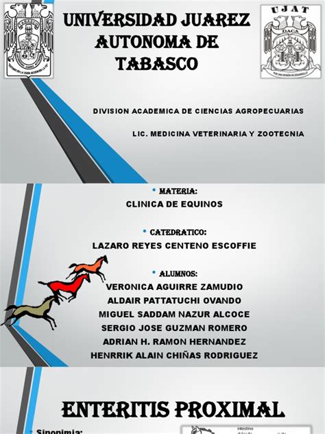 Enteritis Proximal En Equinos Diagnóstico Y Tratamiento Pdf