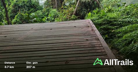 Bukit Gasing Via Liana Steps And Backbone Trail 1 391 Foton Selangor
