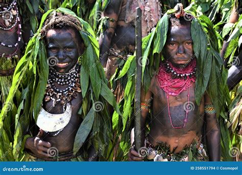 Papua New Guinea Culture Festival Mount Hagen Show Editorial Stock