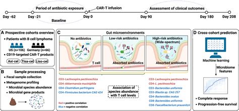Cell Host And Microbe On Twitter The Microbial Code And Cancer Immunotherapy Outcome Highlight Of